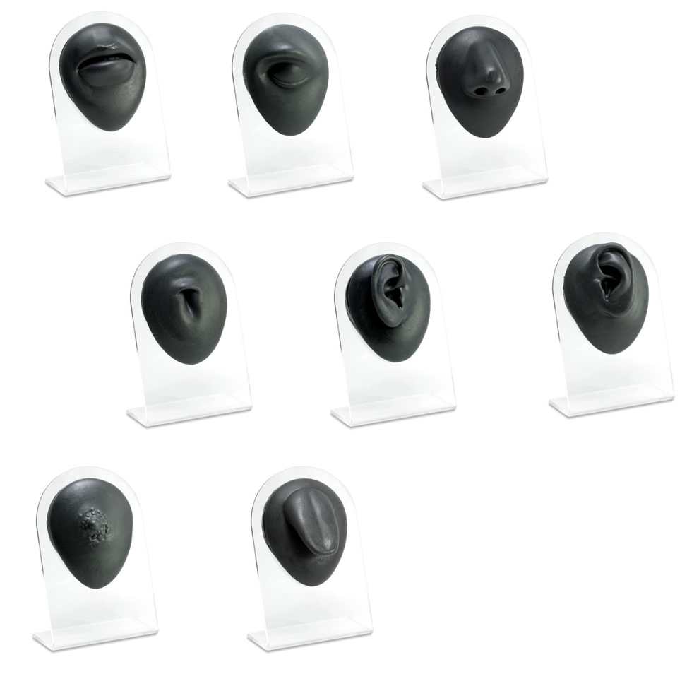 Silicone Nose Display